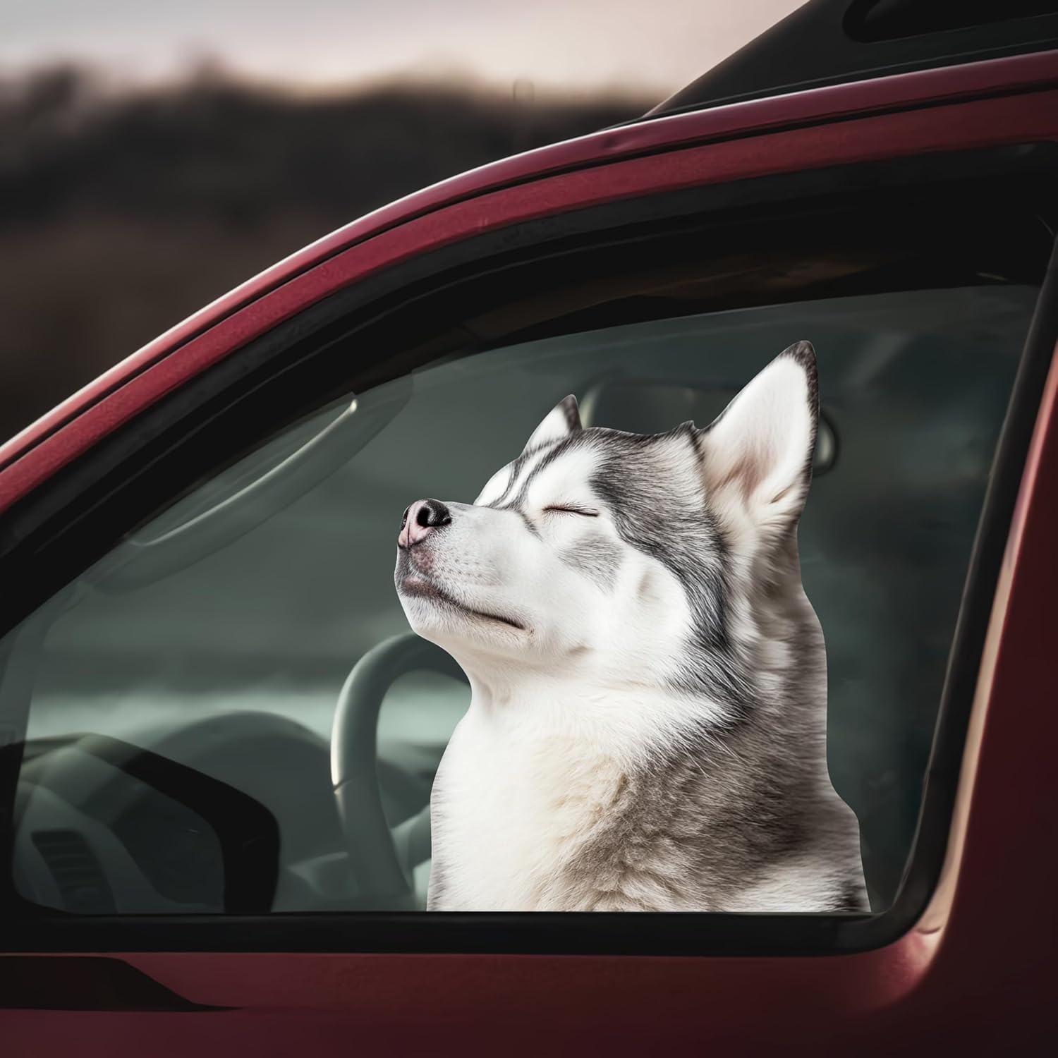 Amazon.com - Siberian Husky Car Decals - Feeling The Breeze Vinyl Decal ...