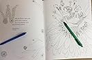 Amazon | Color Me Enchanted: A Coloring Book of Fairy Tales from Around ...