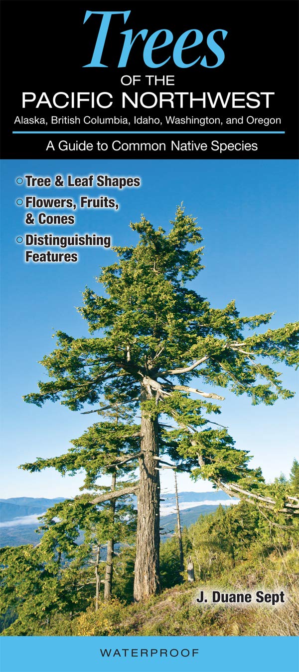 Pacific Northwest Tree Identification Trees Of The Pacific Northwest