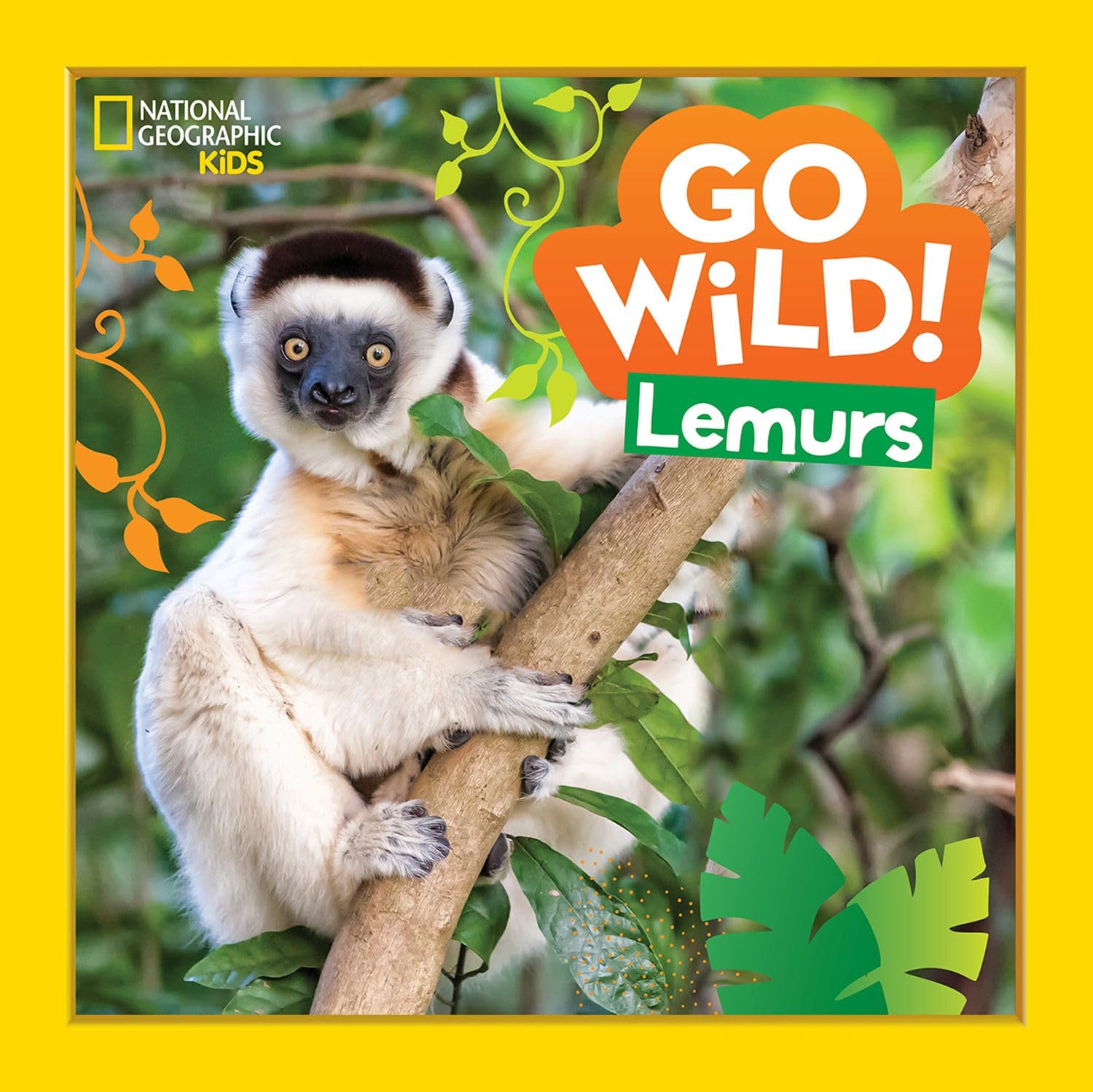 Go Wild! Lemurs: Brydon, Alli: 9781426372544: Amazon.com: Books