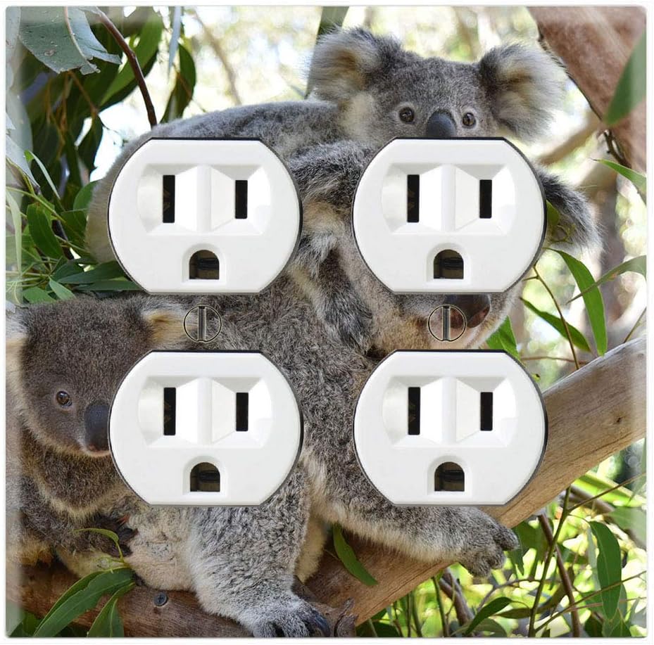 Graphics Wallplates - Koala Family Love Baby Joey - Quadplex Outlet ...