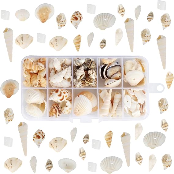 HDHGXUJRD Sea Shells, 150PCS+ Mixed Shell Conch, Natural Conch Shell ...