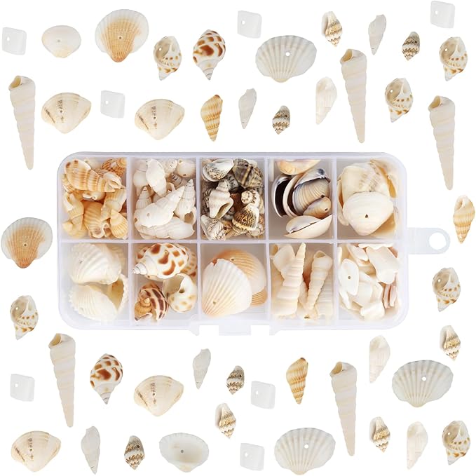 HDHGXUJRD Sea Shells, 150PCS+ Mixed Shell Conch, Natural Conch Shell ...