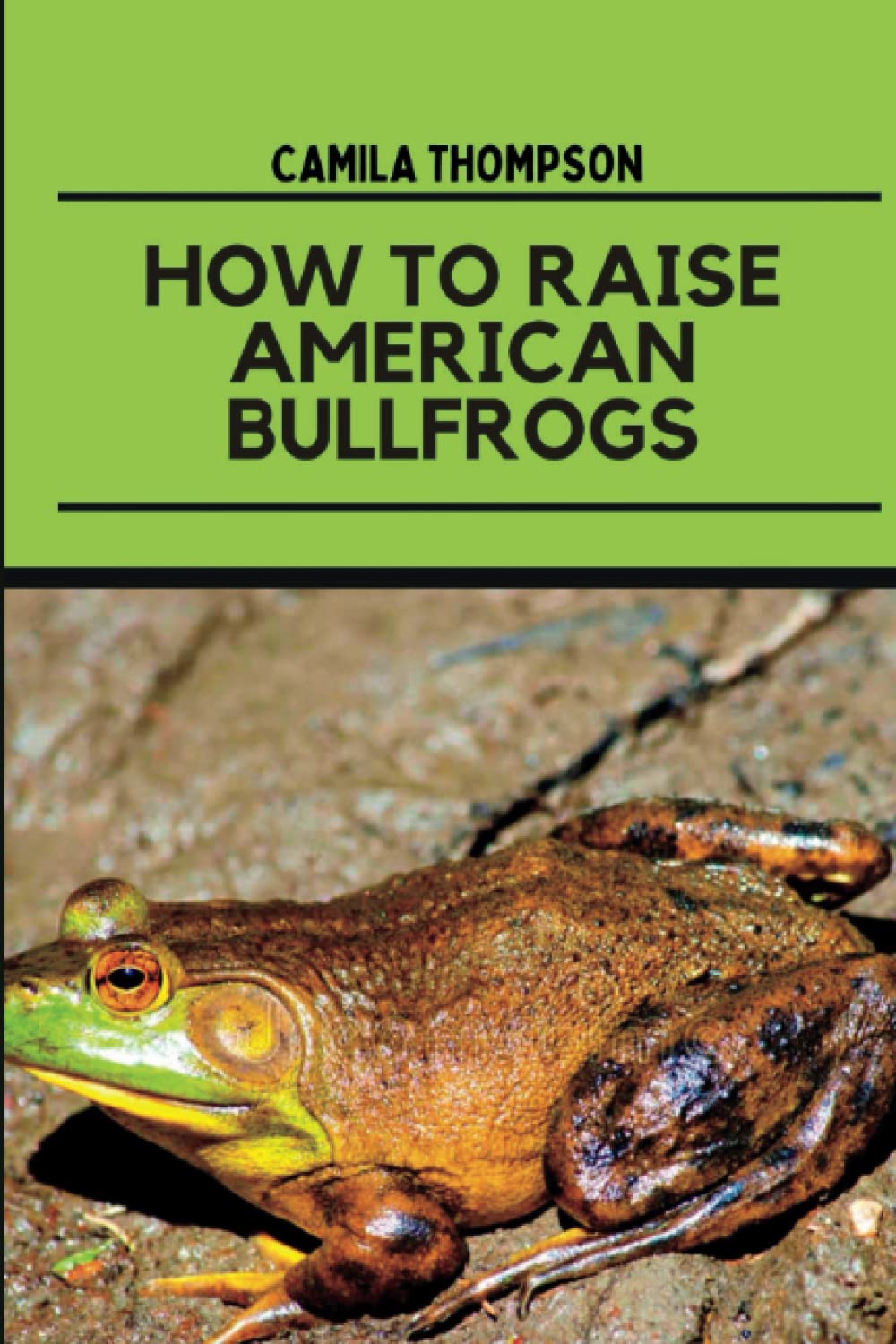 How To Raise American Bullfrogs: A Comprehensive Guide/Handbook On ...