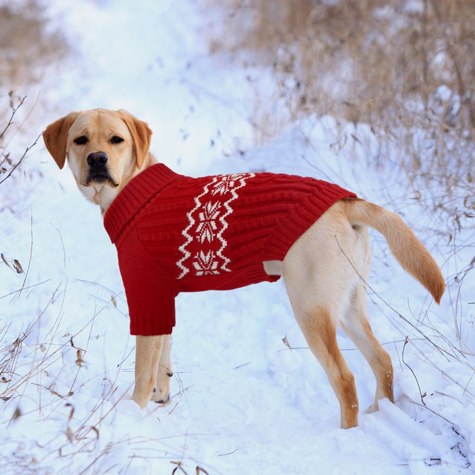 Snapklik.com : Dog Sweater XL, Dog Sweaters For Large Dogs Boy Girl ...
