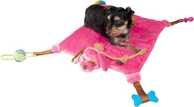 Amazon.com: puppy play mat
