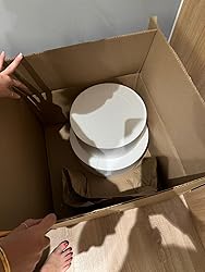 Amazon.com: Oasis Supply 5 Piece Round EPS Foam Fake Cake Set / Dummy ...