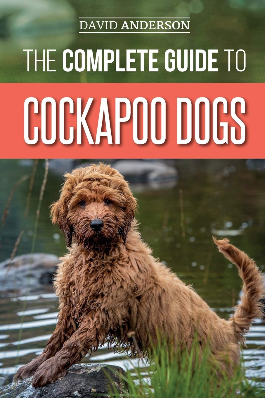 The Complete Guide to Cockapoo Dogs: Everything You Need to Know to ...