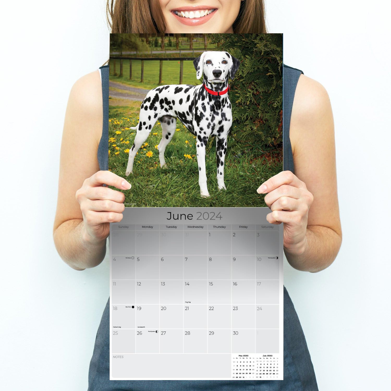 Snapklik.com : 2023 2024 Dalmatian Calendar - Dog Breed Monthly Wall ...
