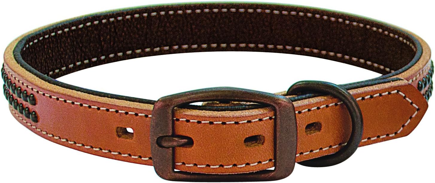 Amazon.com: Weaver Pet Outlaw Collar
