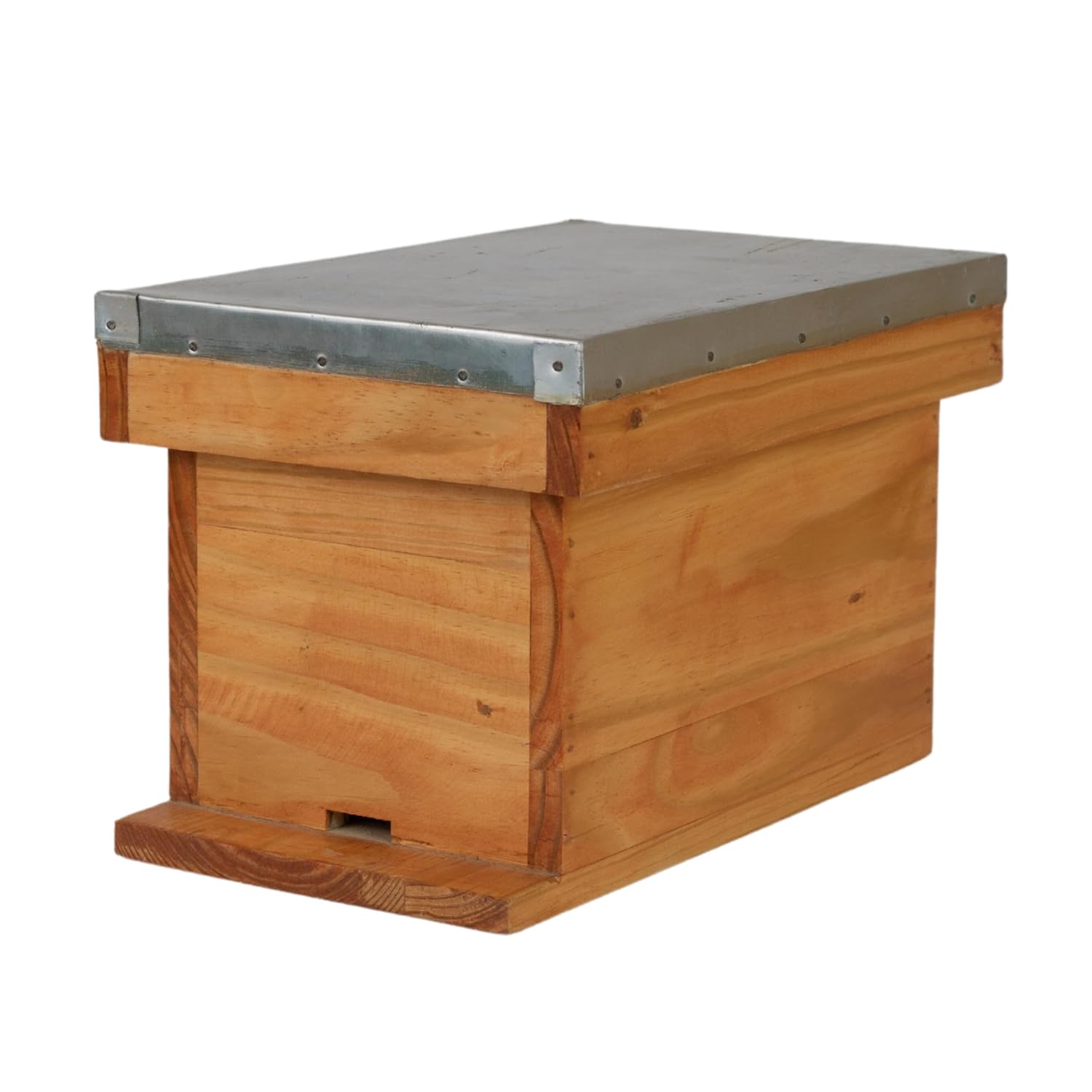 DTC 4 Frame Wooden Beehive Box for Bees Transport: Your Sanctuary for ...