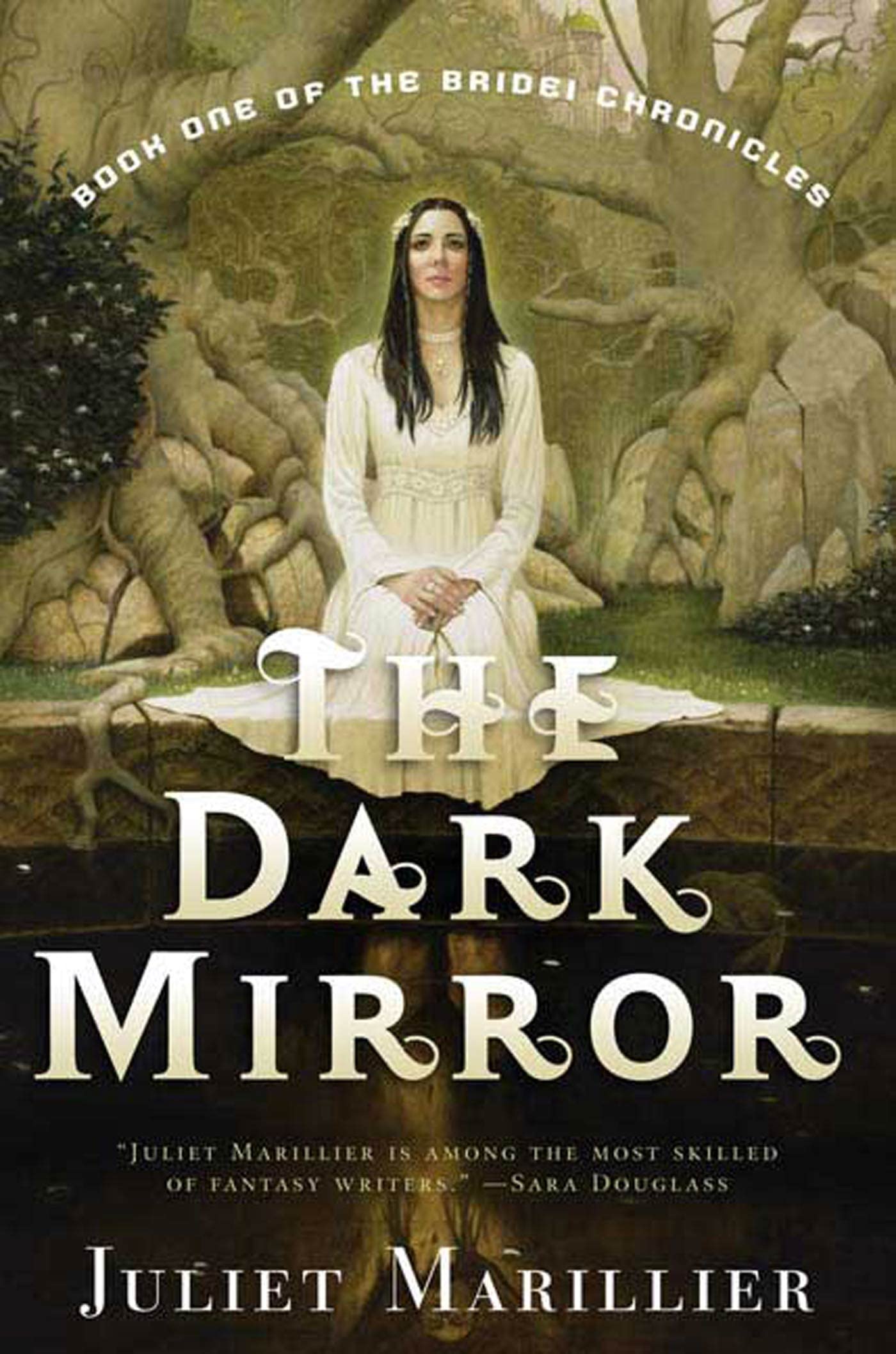 The Dark Mirror: Book One of the Bridei Chronicles (Bridei Chronicles ...