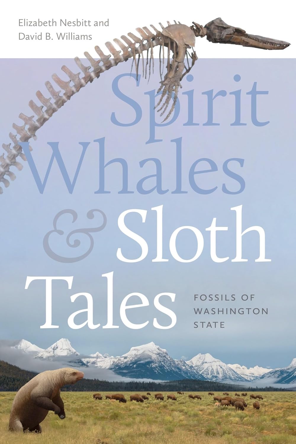 Spirit Whales and Sloth Tales: Fossils of Washington State: Nesbitt ...