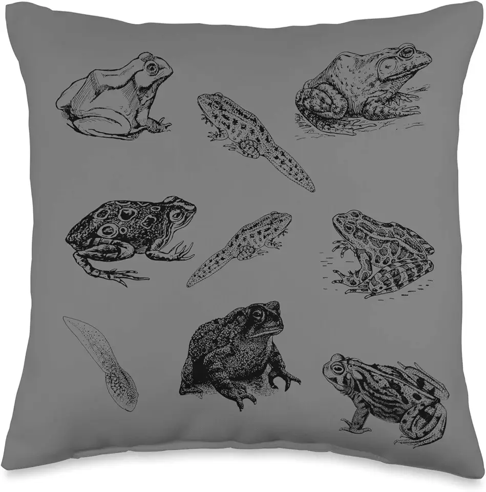 Understanding The Life Cycle Of Toads: From Tadpoles To Adult Toads ...