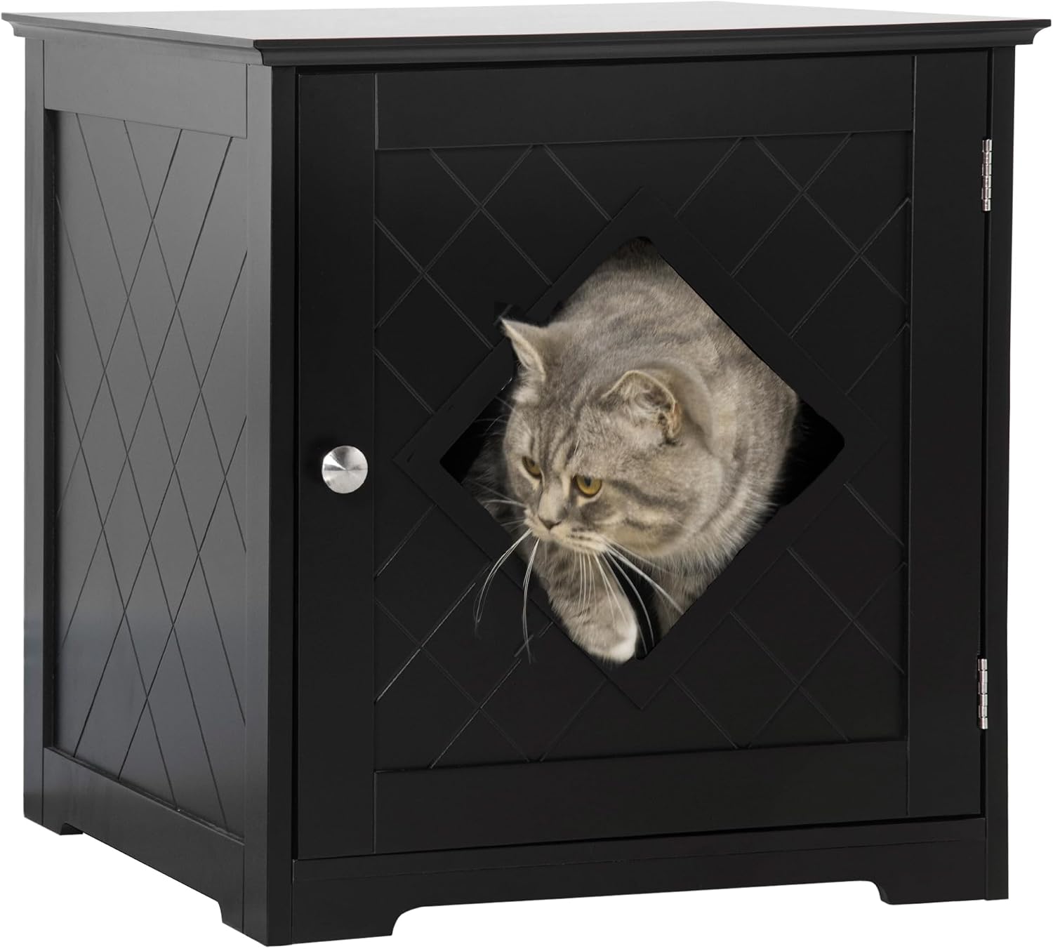 PawHut Cat Litter Box Enclosure End Table, Indoor Cat Washroom with ...