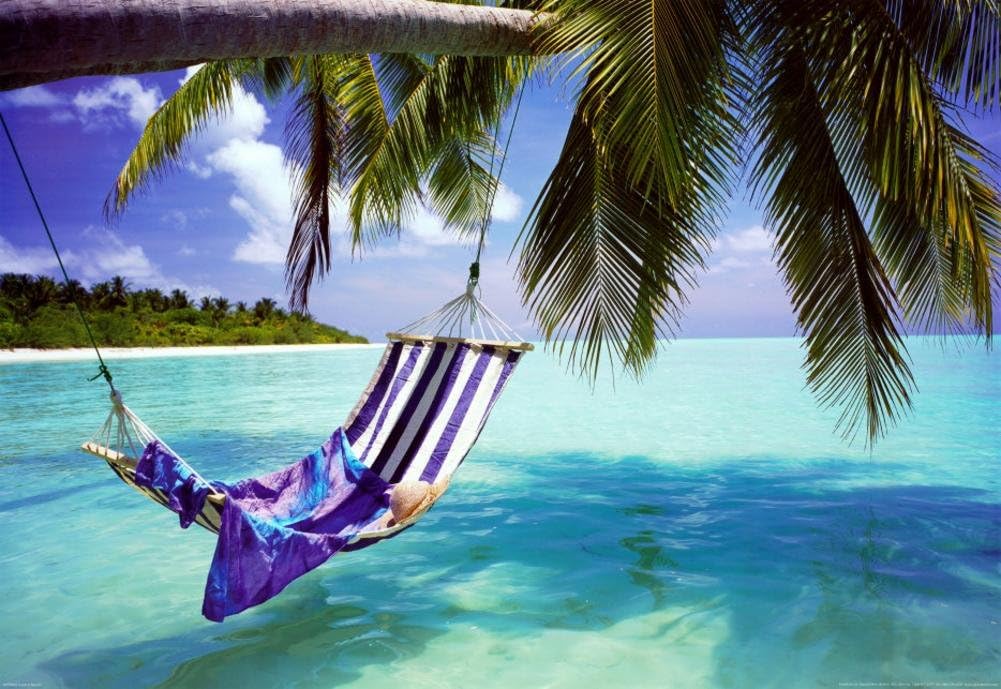 Amazon.com: Tropical Beach Poster 36 x 24in: Posters & Prints