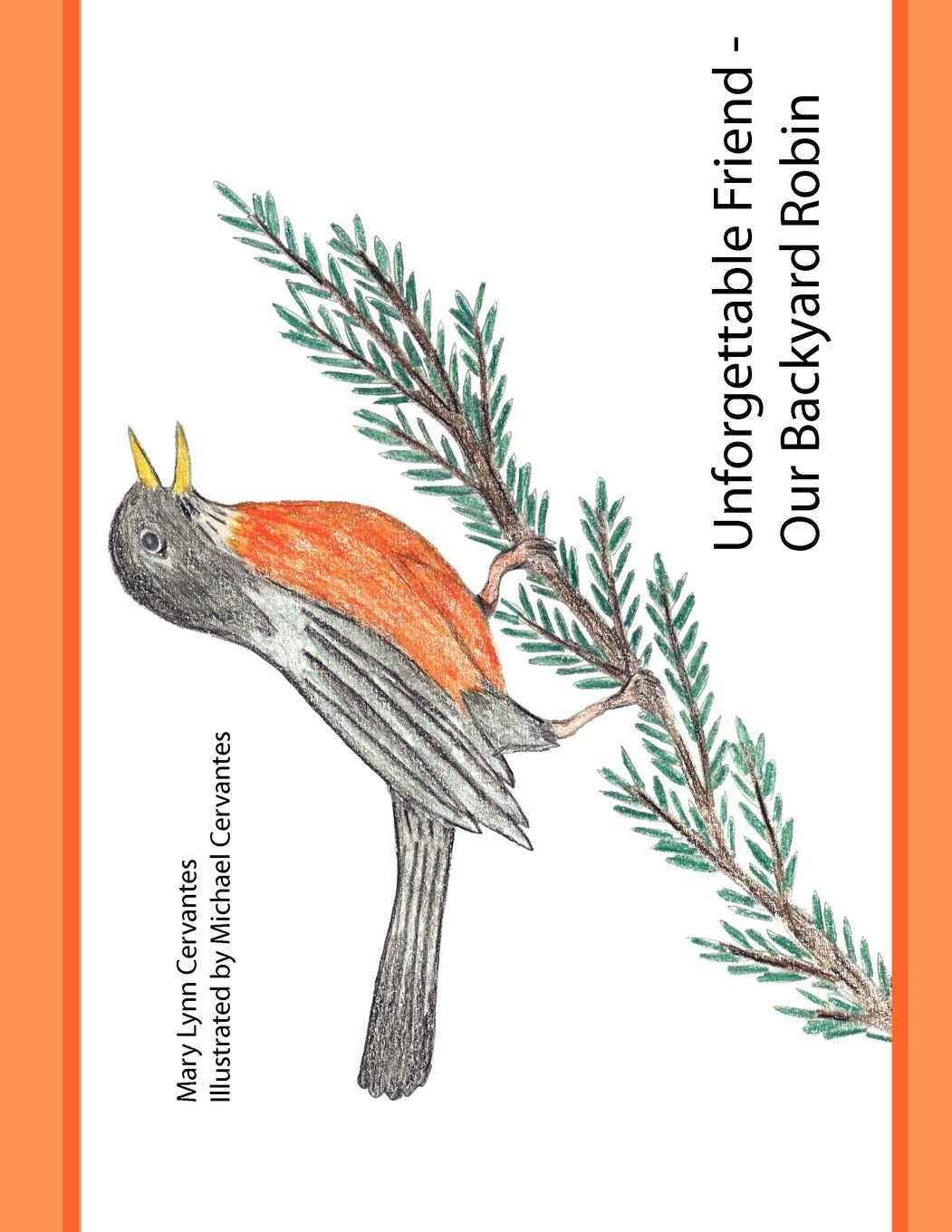 Unforgettable Friend - Our Backyard Robin: Cervantes, Mary Lynn ...