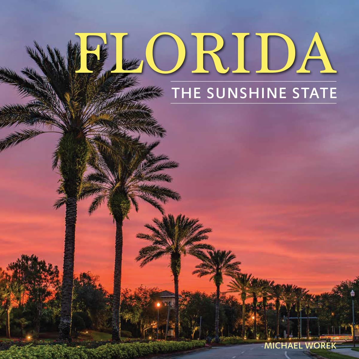 Florida: The Sunshine State: Worek, Michael: 9780228104803: Amazon.com ...