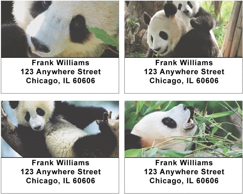 Amazon.com : Pandas Address Labels : Office Products