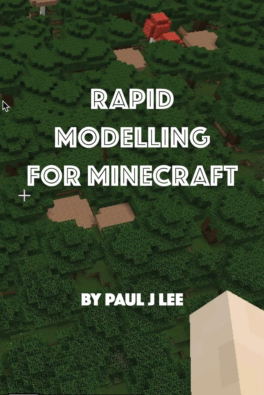 Rapid Modelling for Minecraft (Minecraft Modeling): Lee, Paul J ...