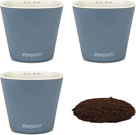 Amazon.com : Window Garden – Aquaphoric Self Watering Mini Planter Pots ...