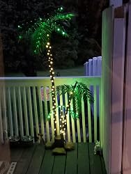 Amazon.com: SOSHOT 7FT Solar Lighted Palm Trees for Outside Patio Light ...