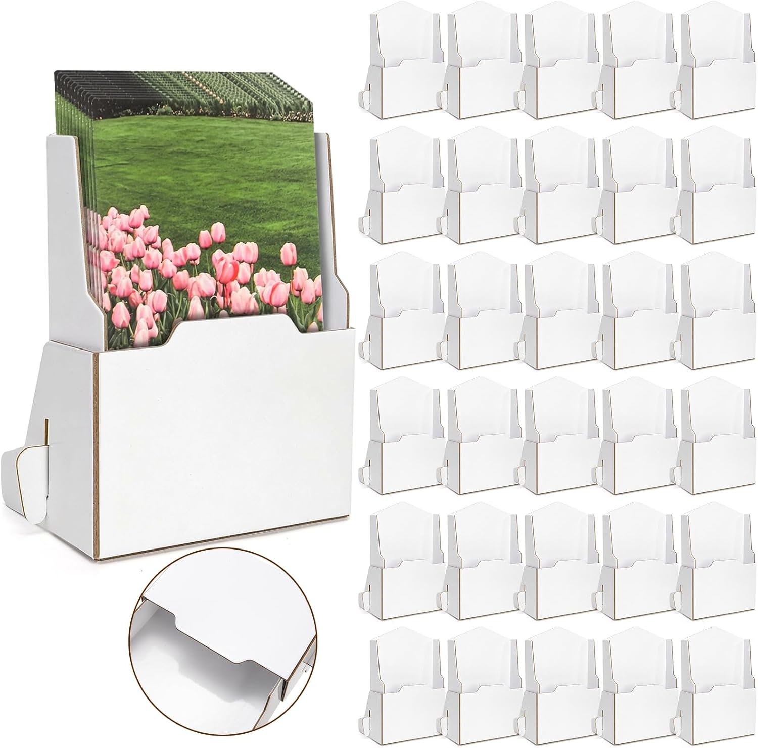 Amazon.com : Yarlung 30 Pack Cardboard Brochure Holder, 4.3 x 6.3 ...