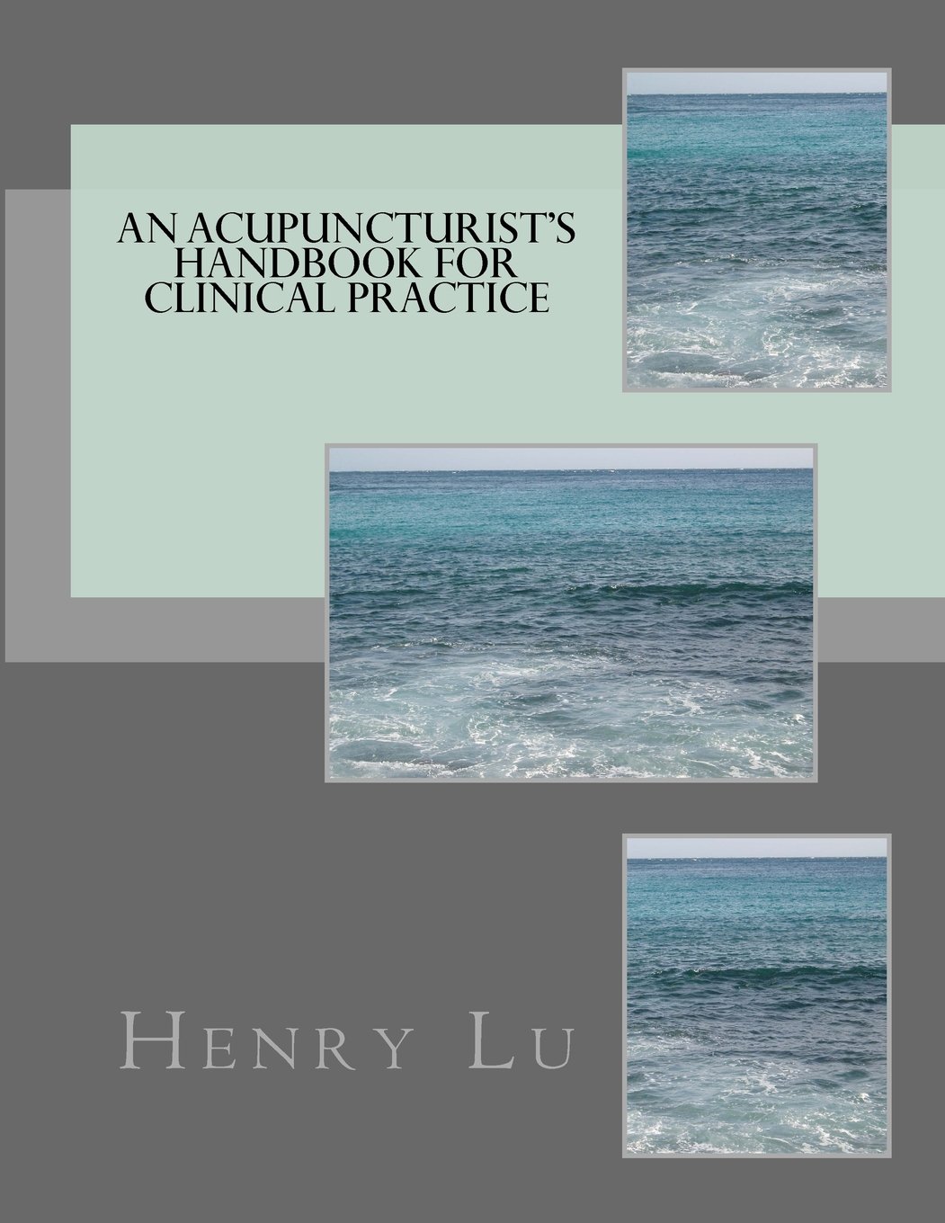 An Acupuncturist's handbook for clinical practice: Lu, Henry C ...