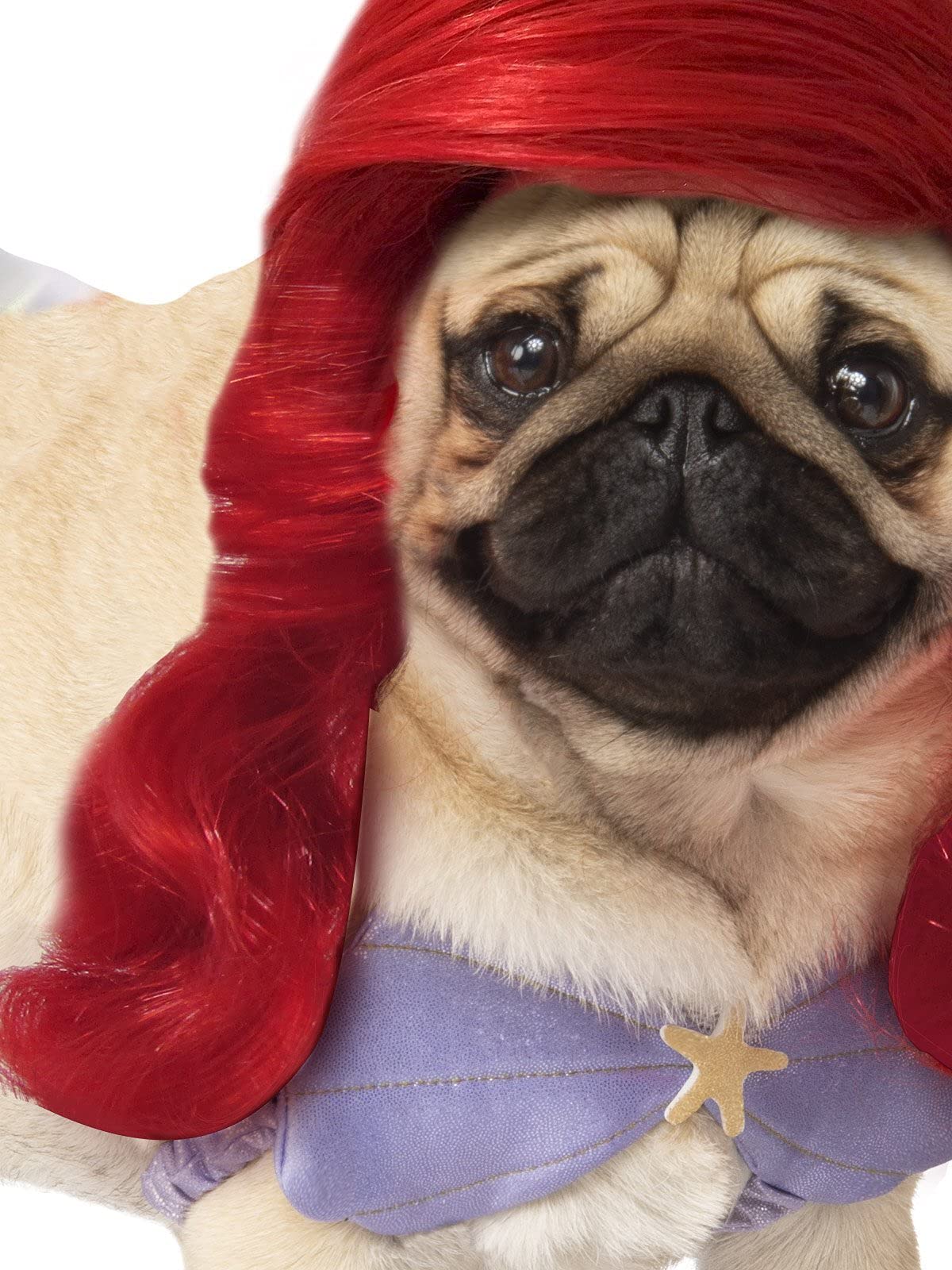 Snapklik.com : Disney Princesses: Ariel Pet Costume For For Dogs Or ...