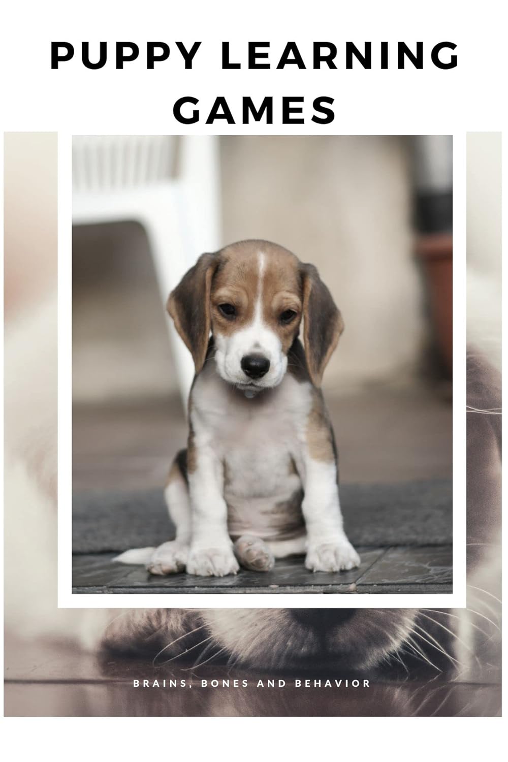 Puppy Learning Games: What Your Puppy Needs to Know (Structured Game ...