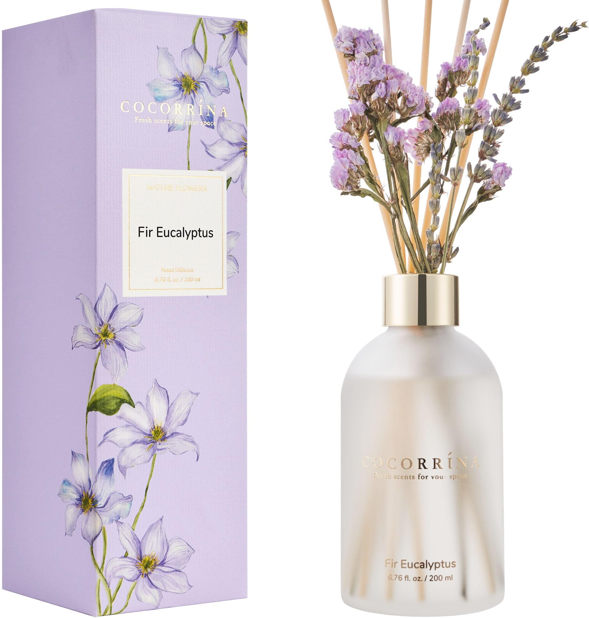 Amazon.com: Luxury Reed Diffuser| True Hue | Luxury Reed Diffuser | 3. ...