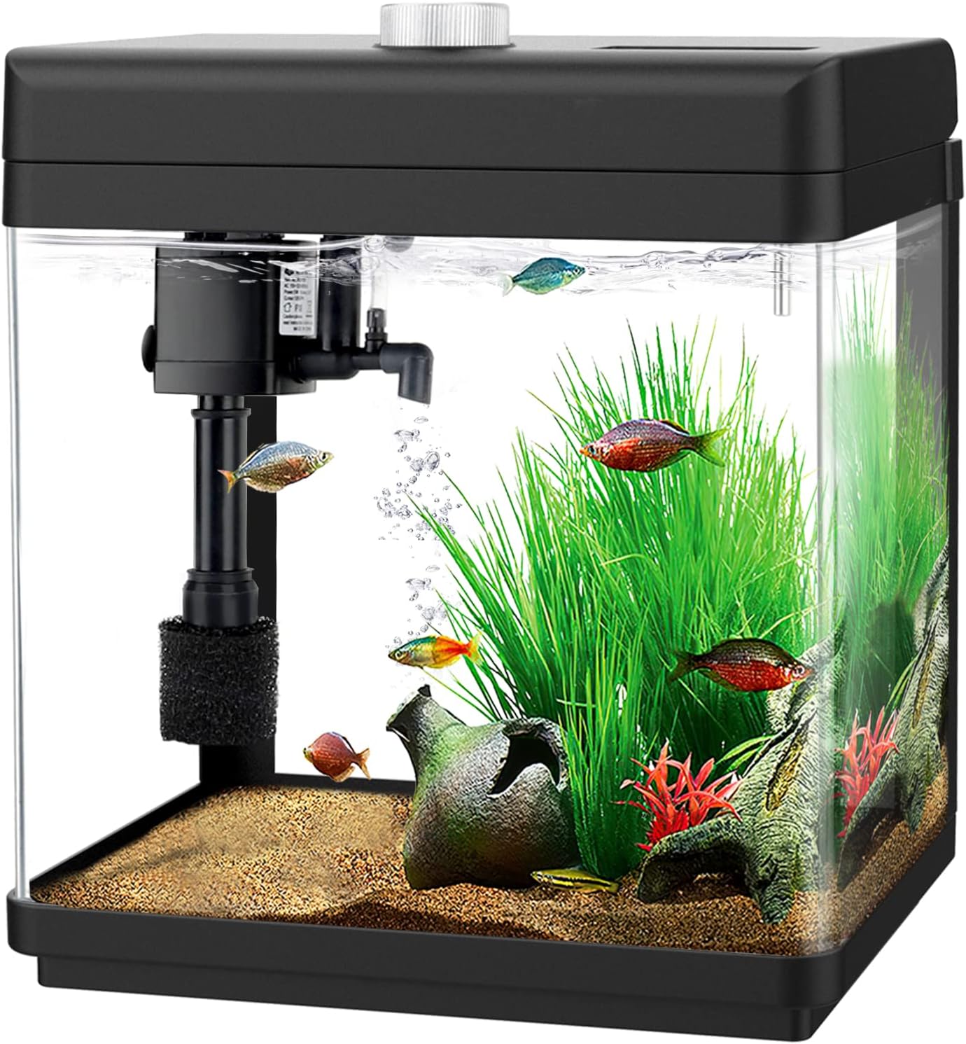 AQQA 1.5 Gallon Aquarium Kits Desktop Small Fish Tank with Filter and ...