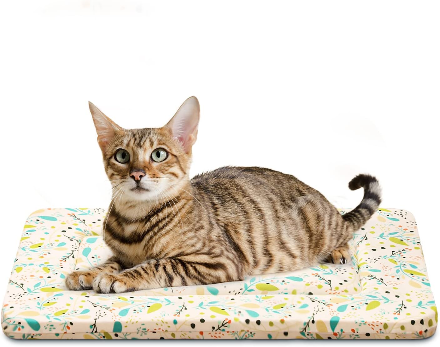 Amazon.com : 4 Pack Ultra Soft Dog Cat Bed Mat with Cute Prints ...