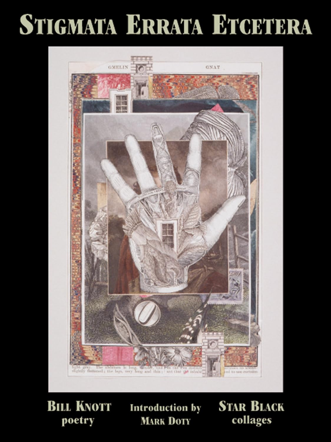 Stigmata Errata Etcetera (Artist/Poet Collaboration): Knott, Bill ...