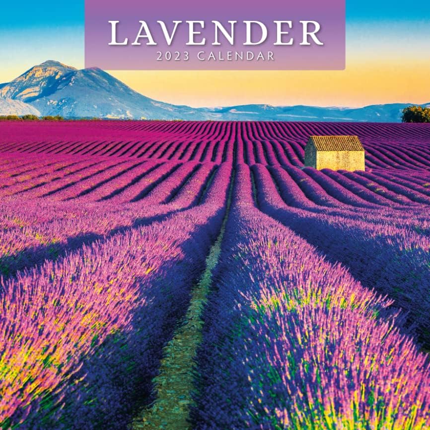 Amazon.com: 2023 Lavender Monthly Wall Calendar by Red Robin Calendars ...