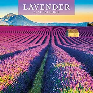 Amazon.com: 2023 Lavender Monthly Wall Calendar by Red Robin Calendars ...
