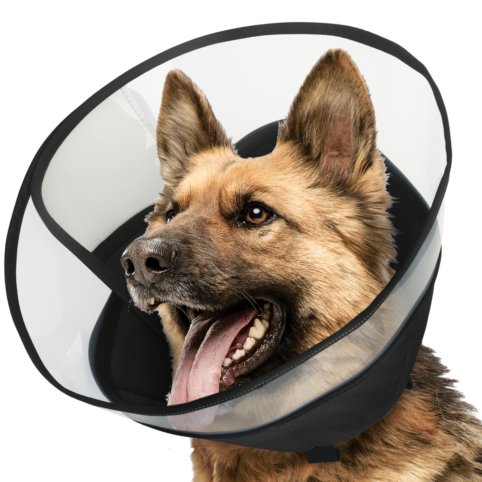 Amazon.com : OEH Dog Cone, Soft Cones for Dogs After Surgery ...