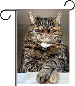 Amazon.com : Cat Animal Personalized Garden Flag Double Sided Outside ...