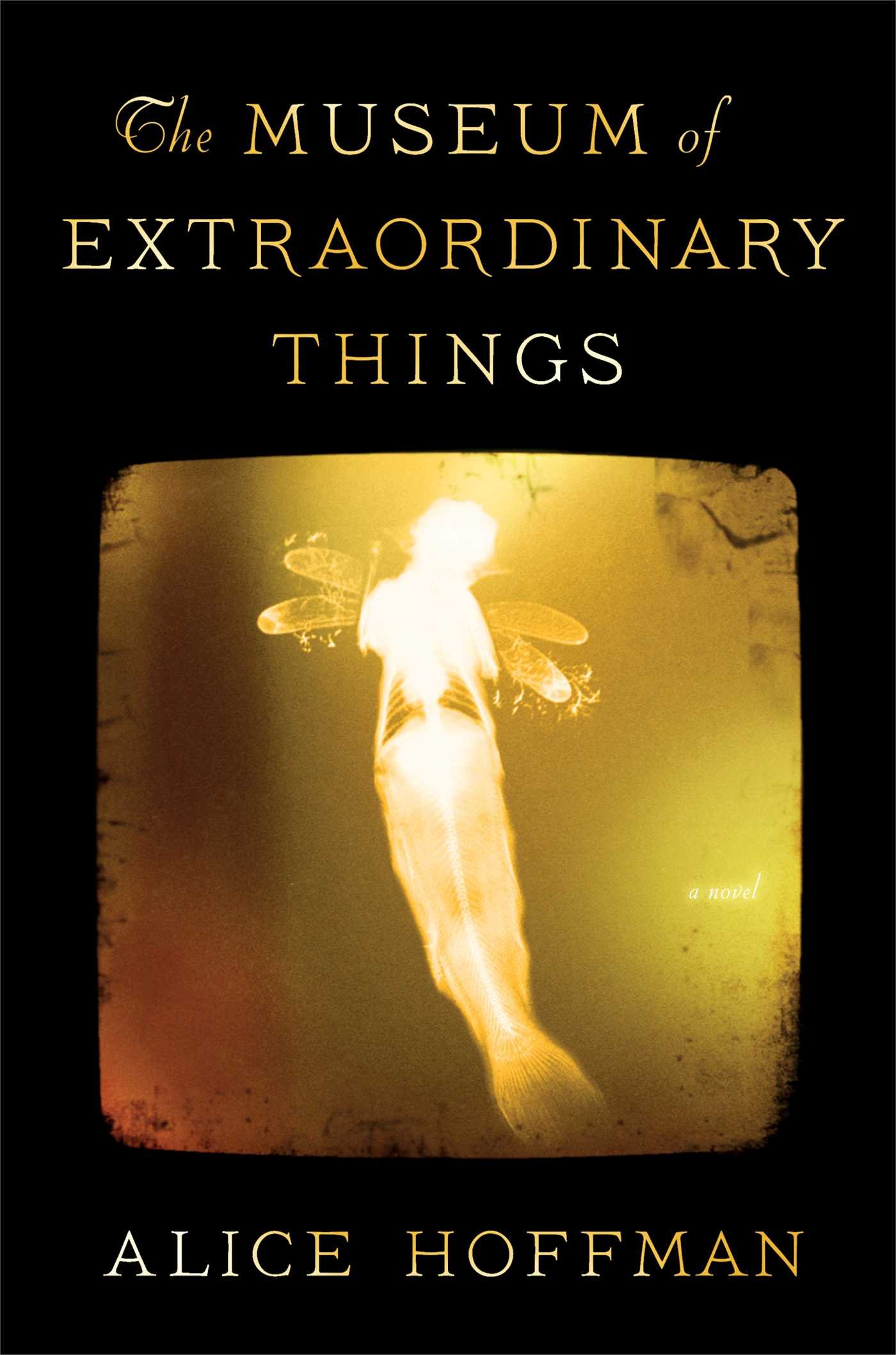 Amazon | The Museum of Extraordinary Things | Hoffman, Alice | Jewish ...