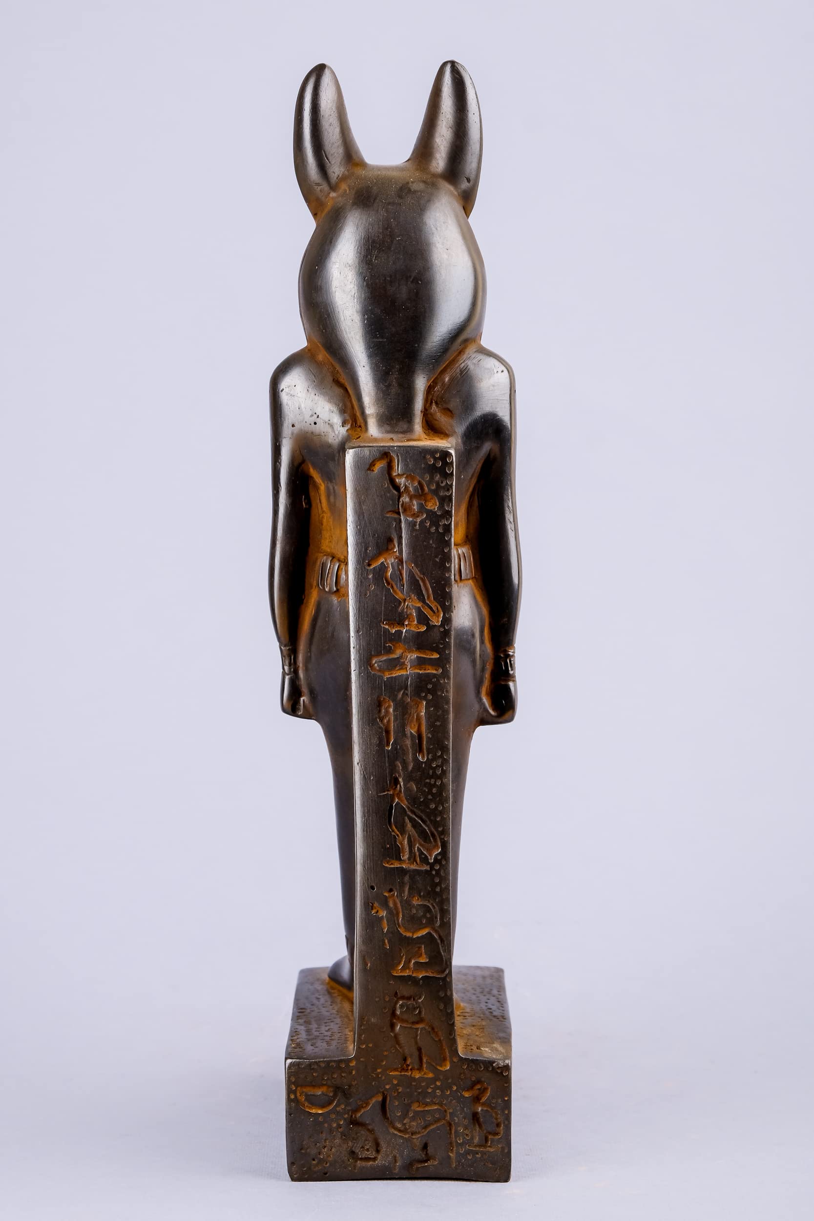 Egyptian Black Jackal