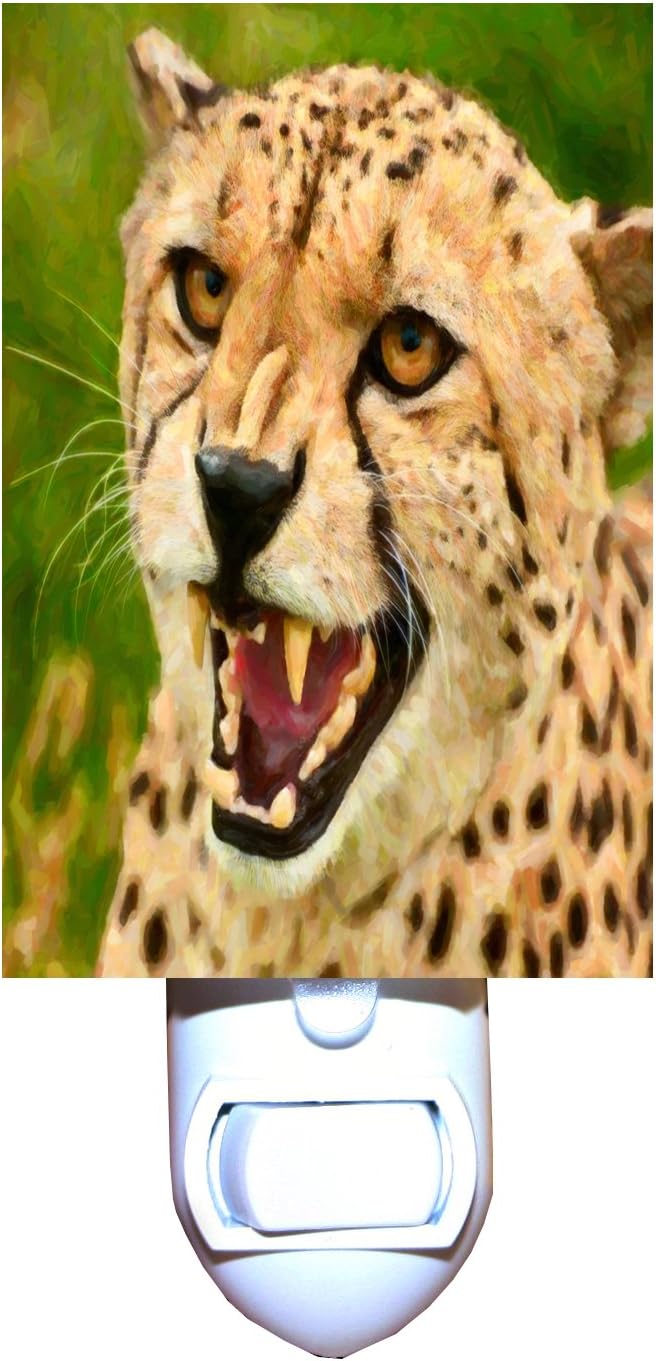 Cheetah Portrait Decorative Night Light - Amazon.com