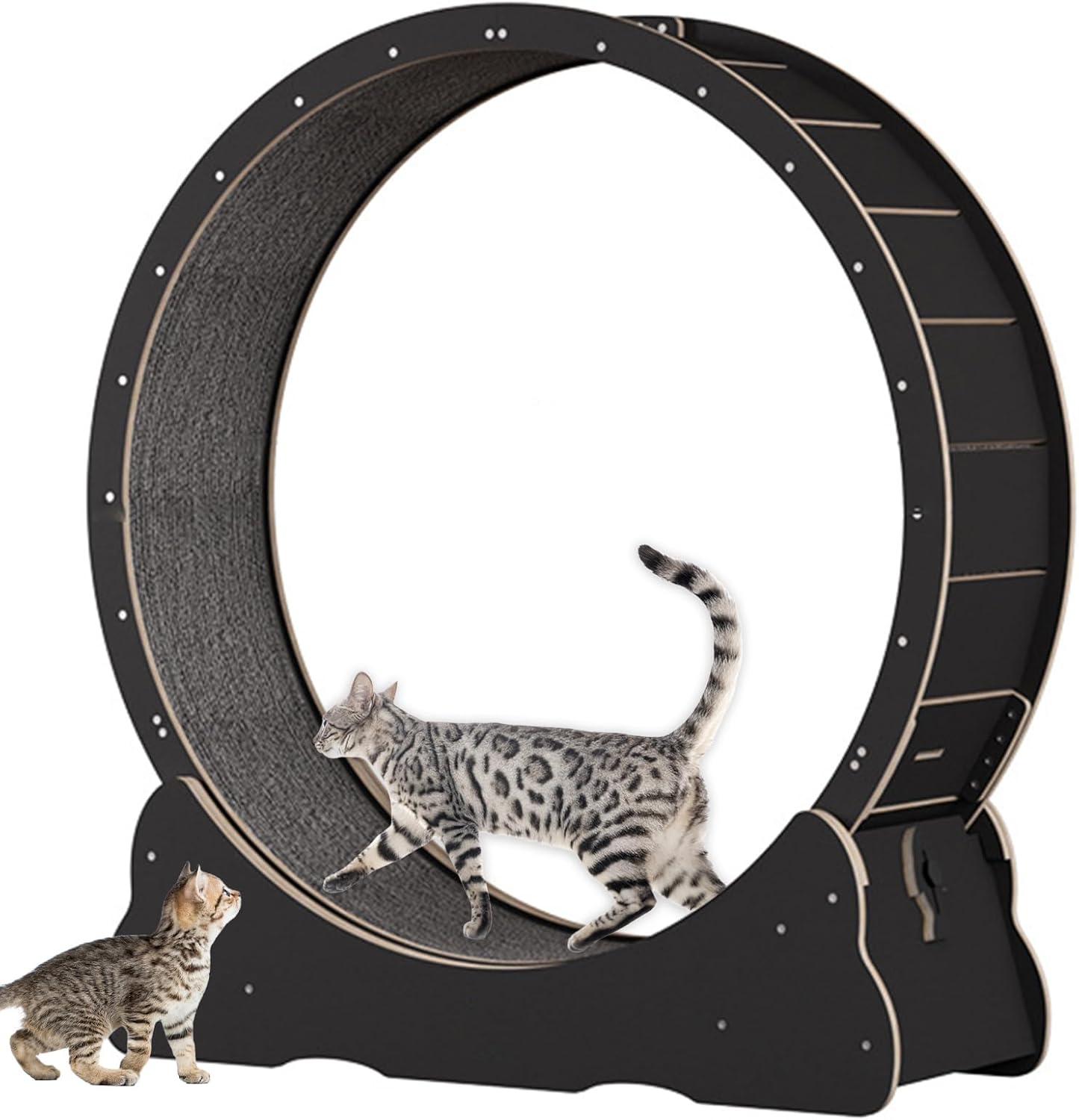 MIWOOYY Large Cat Exercise Wheel 40 inch - Black Solid Wood Cat Wheel ...
