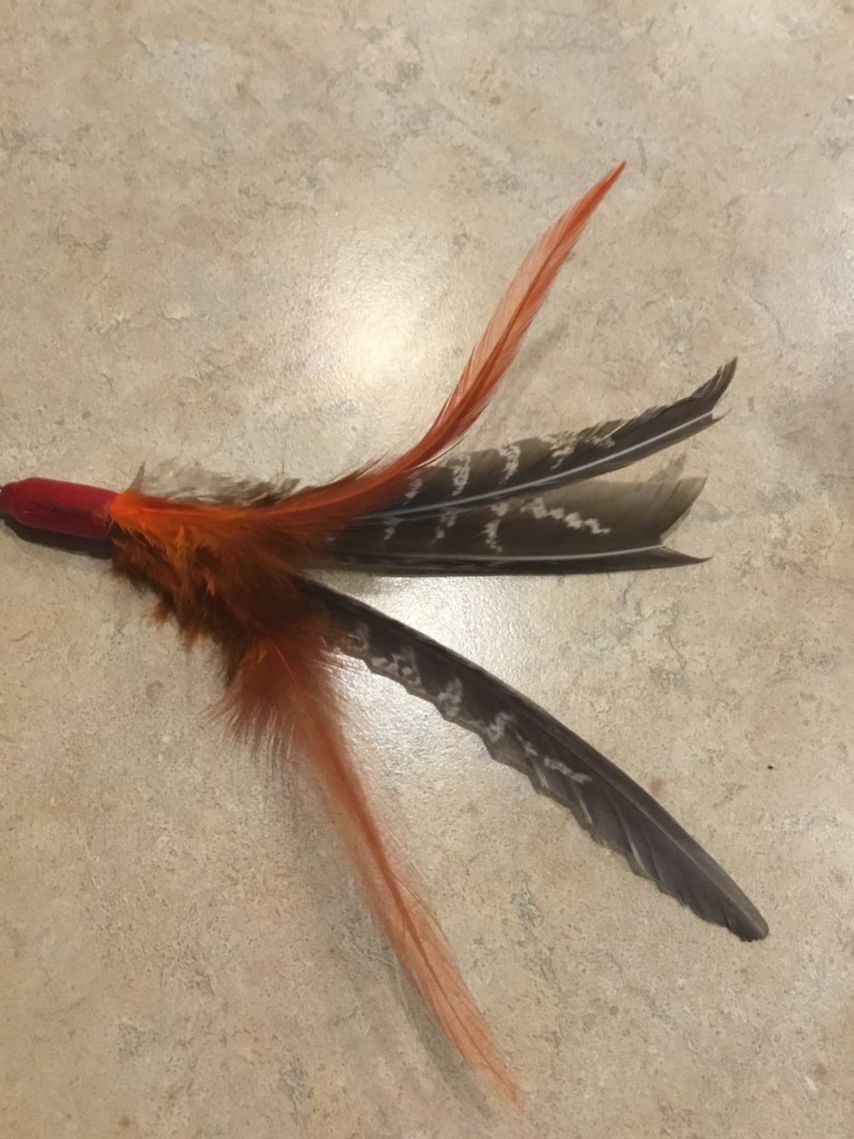 Amazon.com : GoCat Da Bird Feather Cat Toy Super Refill, Handmade in ...