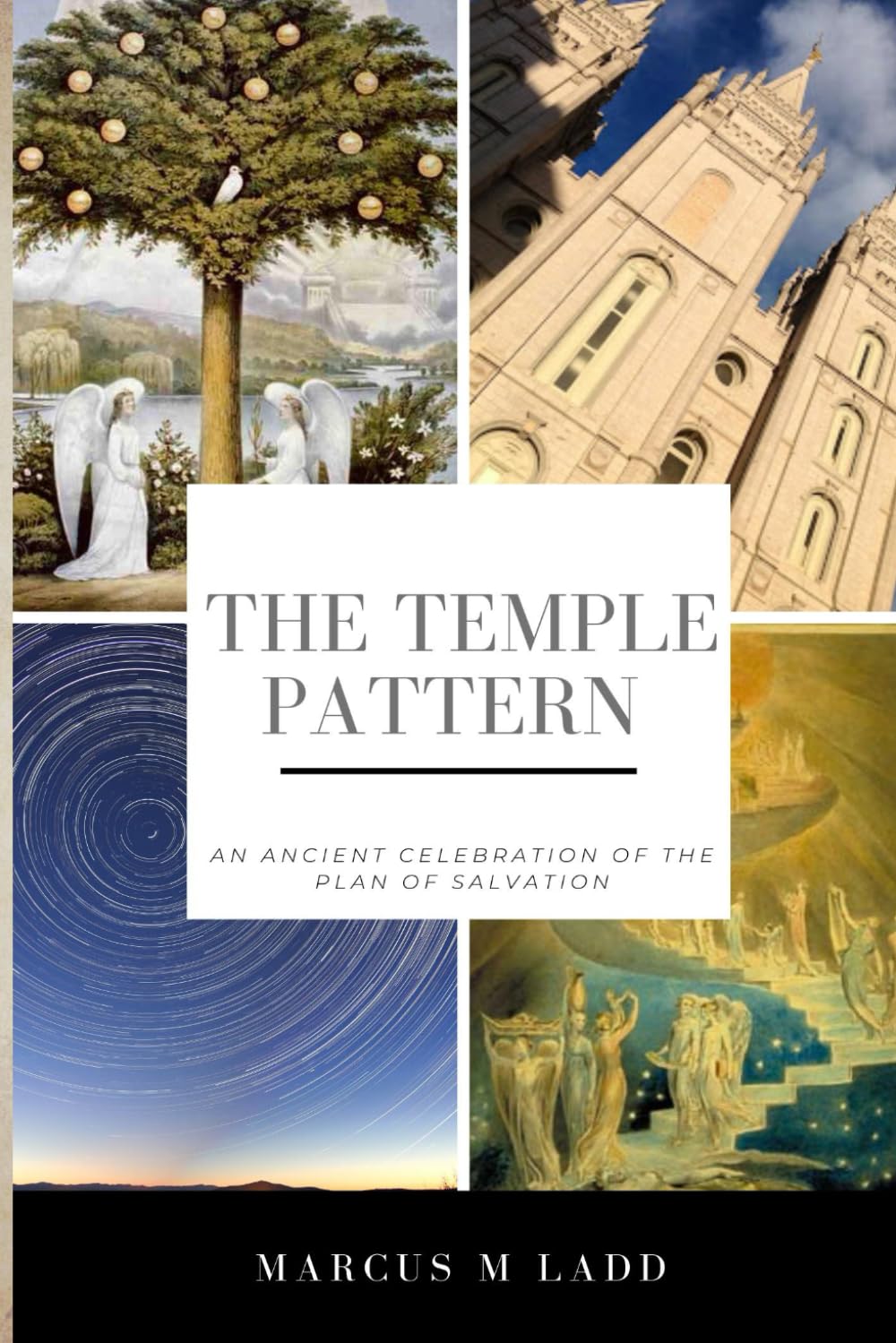 The Temple Pattern: A Celebration of the Plan of Salvation: Ladd ...