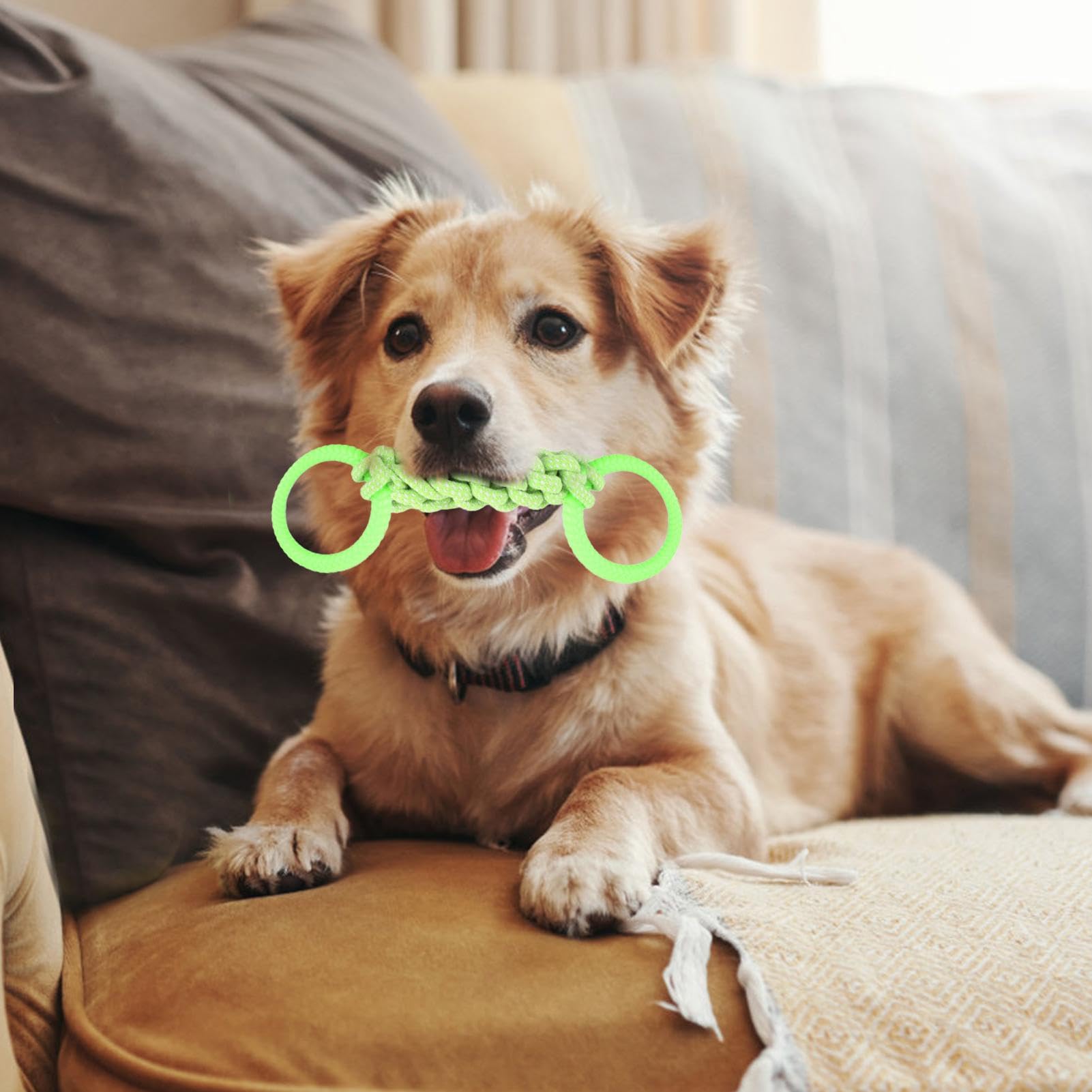 Dog Rope Toy Wholesale 90-Pack Dog Rope Toys - Cotton Chew Toys For ...