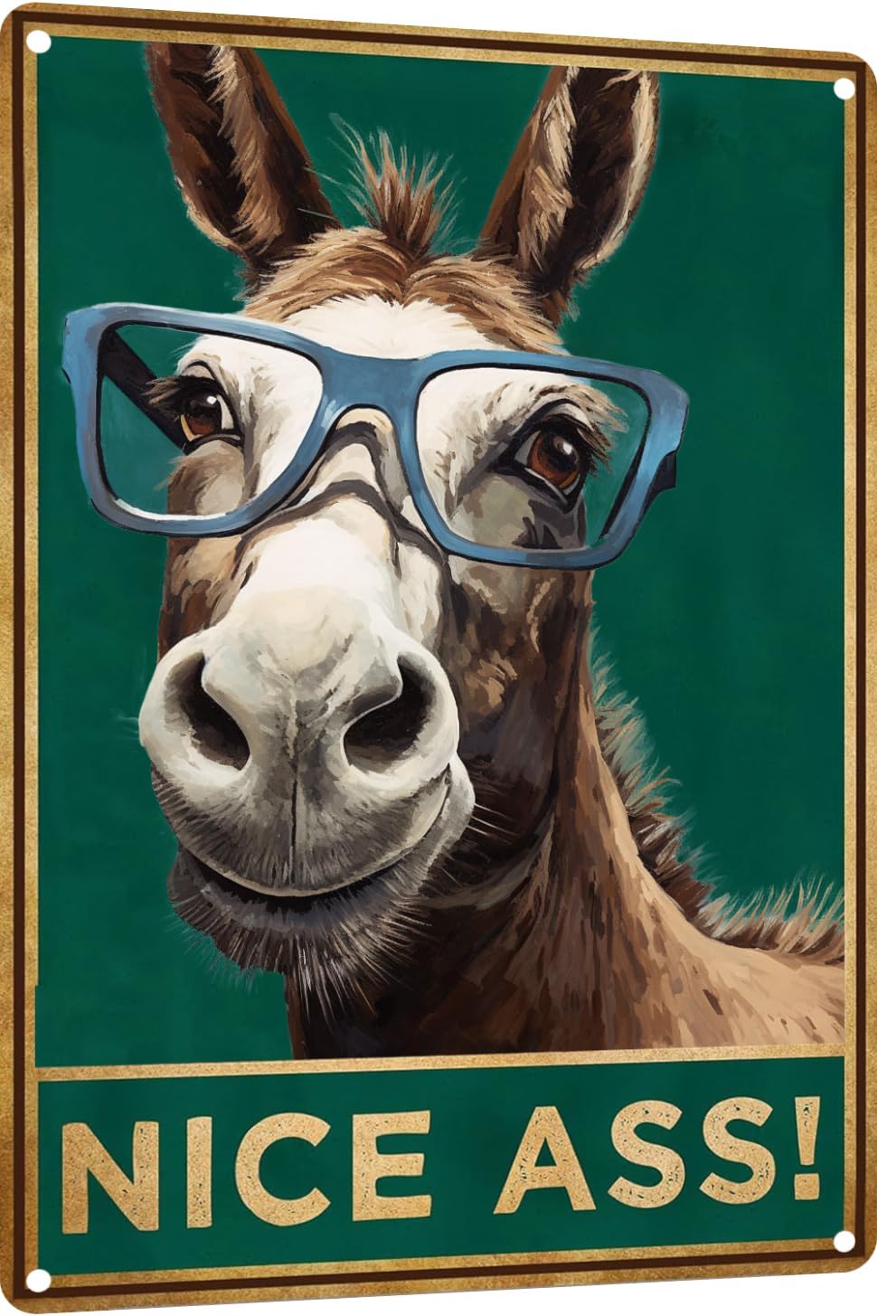 Amazon.com: TopPacific Vintage Donkey Art Metal Signs, Funny Bathroom ...