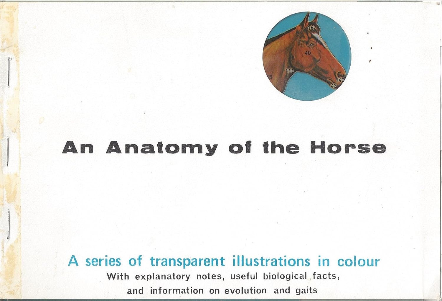 An Anatomy of the Horse: Smith, R: 9780903021029: Books - Amazon.ca