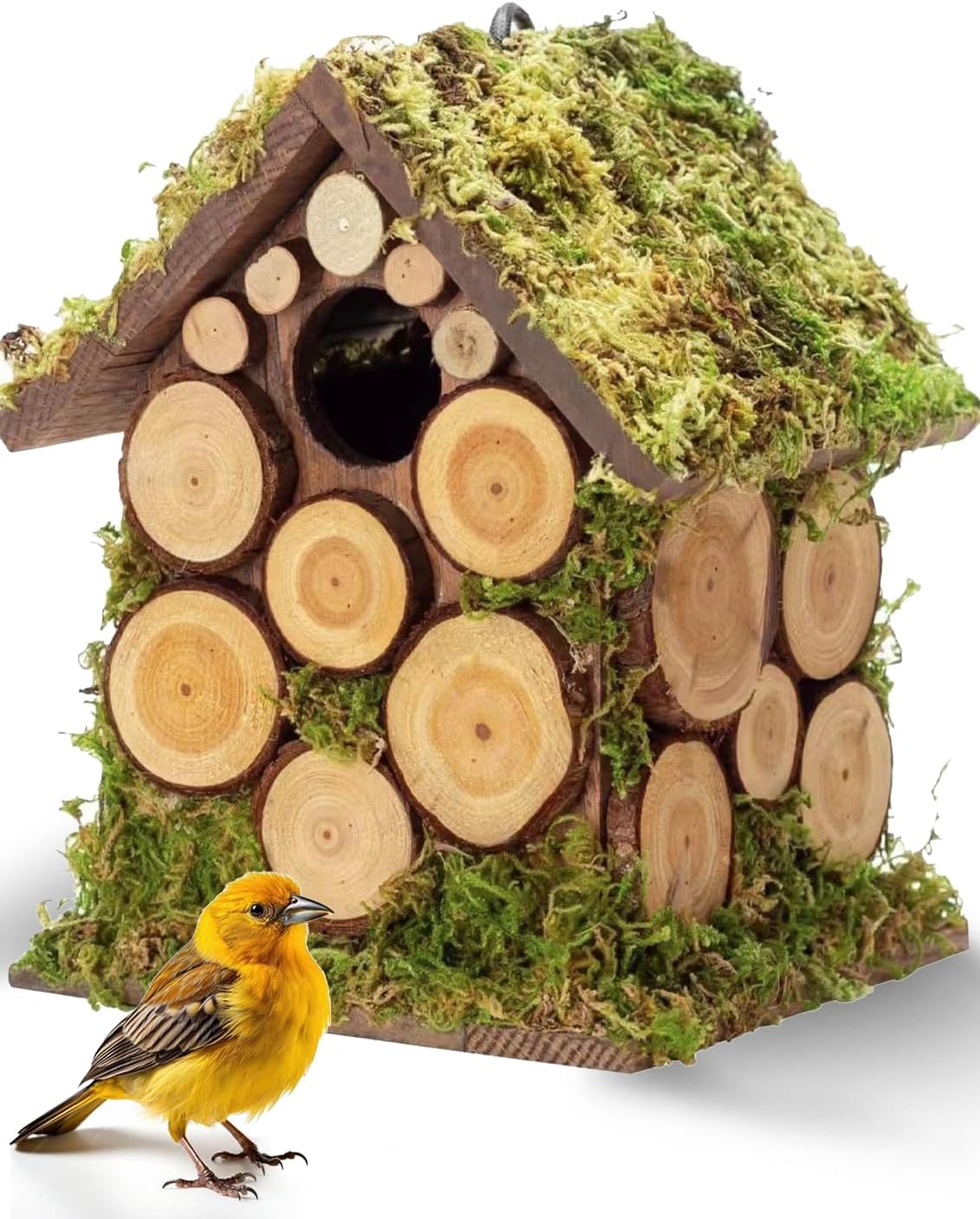 Amazon.com : SuperMoss (56010) Raindrop Birdhouse with Chain, 10 by 13 ...