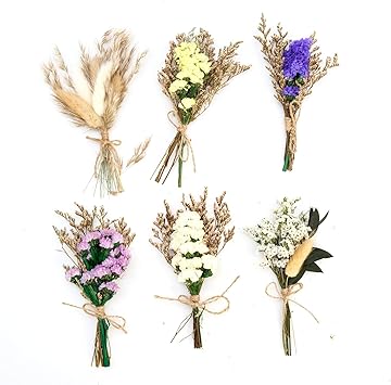 6 Pcs Mini Dried Flowers Bouquet, Mixed Natural Dried Flower Plant for ...