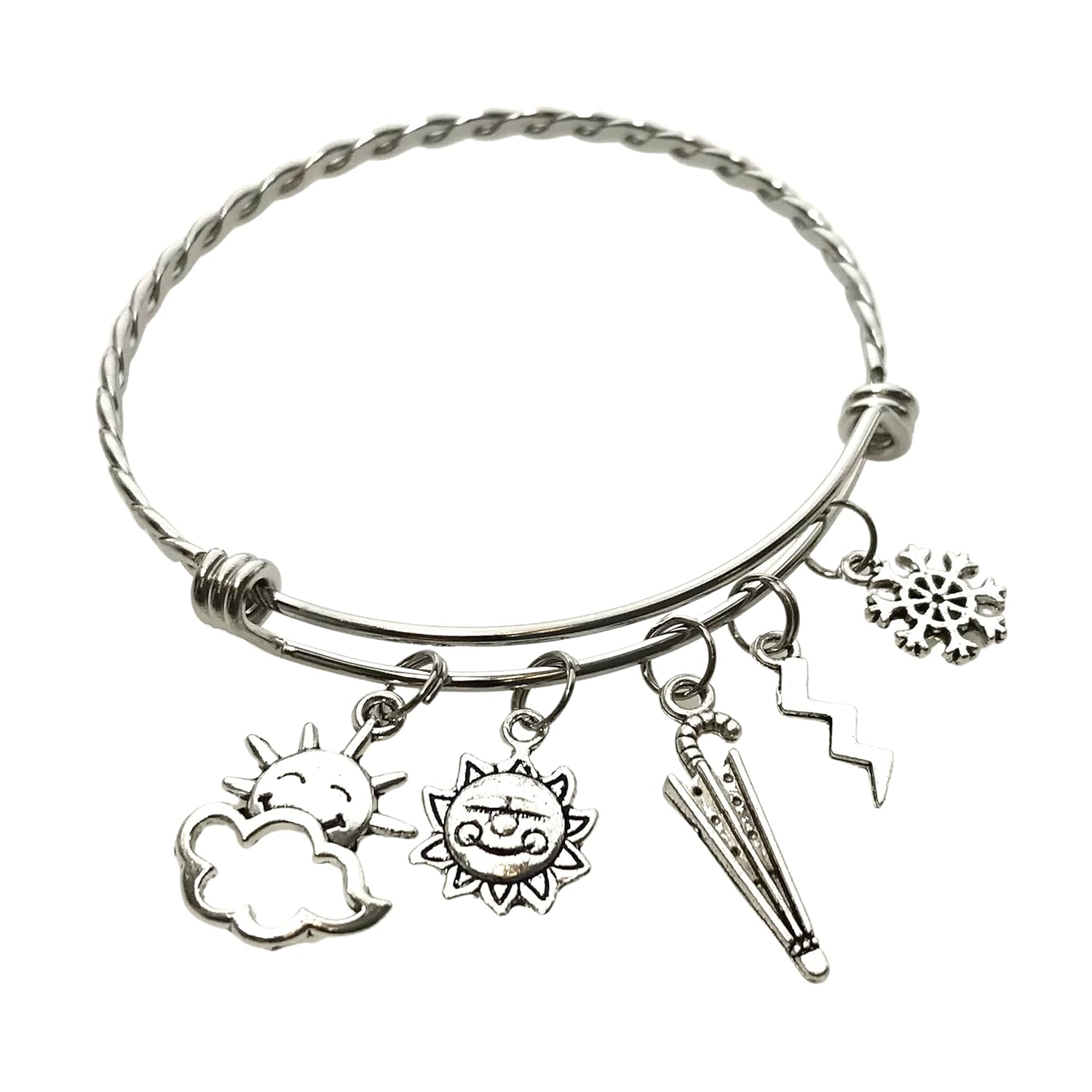 Amazon.com: Meteorologist Charm Bracelet Weather Lightning Snow, Cloud ...